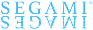 Viewmasters Guest Letter - Amy Segami